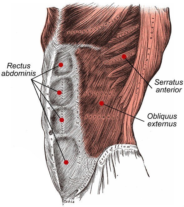 How to Get Jaw Dropping Six Pack Abs as a Natural