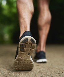 Physical Activity and Testosterone: Start Walking ASAP